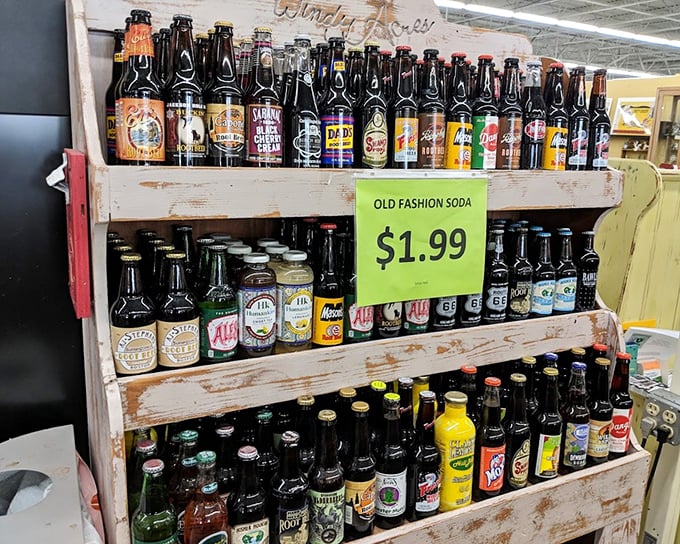The vintage soda display: carbonated nostalgia at its finest. These glass bottles contain not just beverages, but memories of simpler summer afternoons.