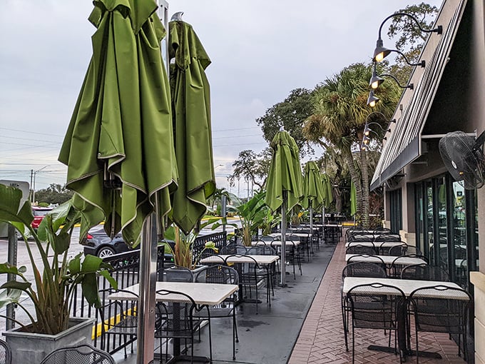 The outdoor seating area offers a tropical twist on the deli experience – palm trees instead of skyscrapers, but the flavors remain authentically northern.
