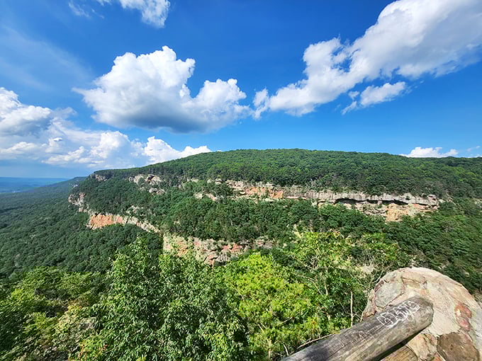 Canyon views stretch endlessly, proving Georgia's got more dramatic flair than any Hollywood production could imagine.