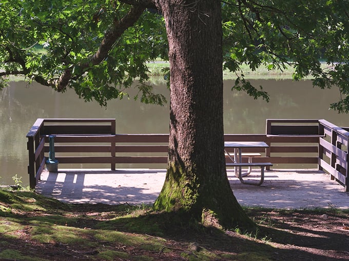 A riverside deck with the best seats in the house. No reservations required, though the tree clearly called dibs first.