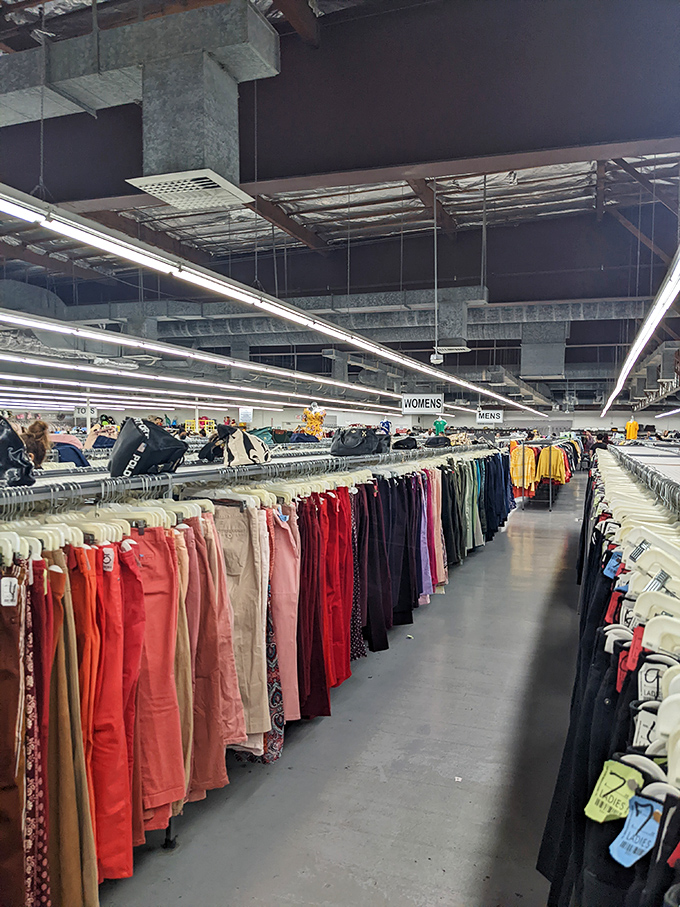 The clothing rainbow—where pants are organized by color rather than decade, creating a textile spectrum of possibilities.