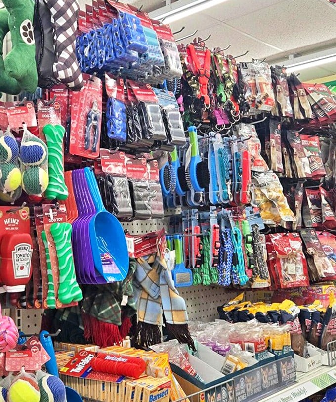 Pet supplies hanging like colorful pendants – proof that showing Fido love doesn't require emptying your wallet.