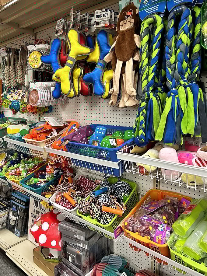 The pet section proves Fido doesn't need to fetch your whole paycheck. Premium toys and treats that'll have tails wagging and wallets sighing with relief.