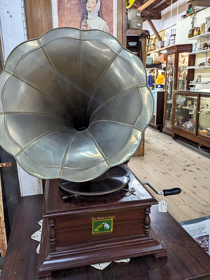 His Master's Voice indeed—this magnificent gramophone horn waits patiently to fill the room with crackling melodies from another century.