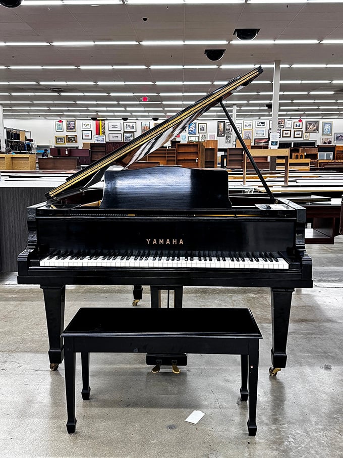 A majestic Yamaha grand piano stands in silent invitation. Just imagine the music this beauty could bring to your living room—if you can figure out how to get it home!