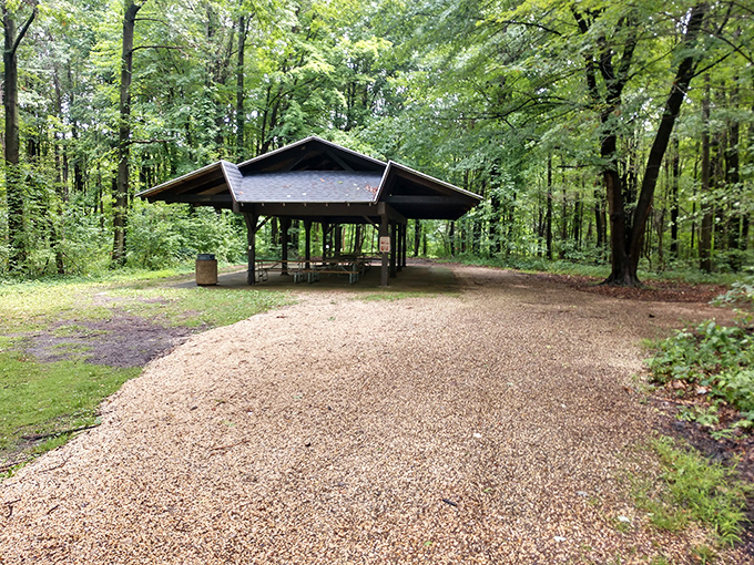 This woodland pavilion waits patiently for your family reunion, birthday celebration, or impromptu picnic when the weather whispers "go outside."