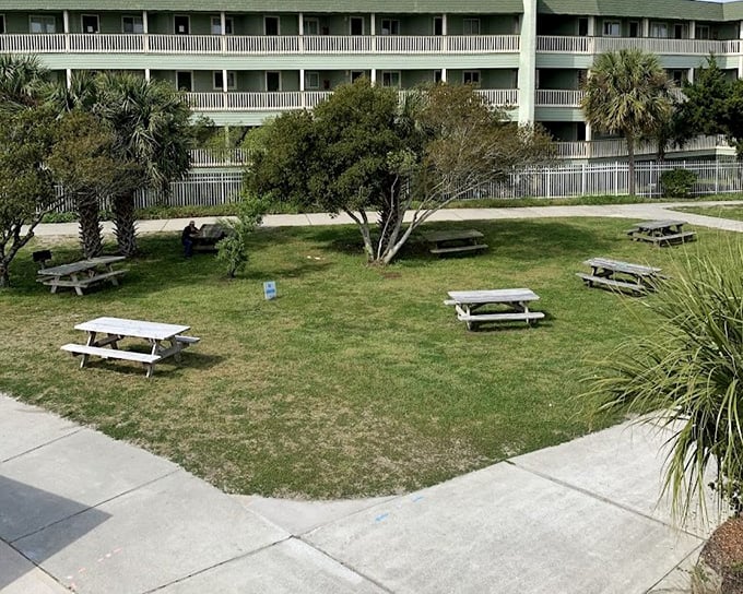 Picnic tables scattered beneath palm trees offer respite from the sun. The perfect spot for sandy sandwiches that somehow taste better than restaurant fare.