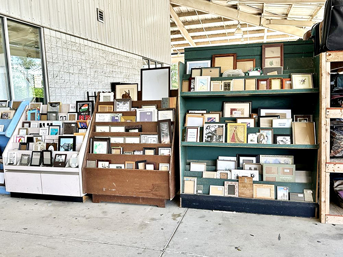 Picture frames galore—because your memories deserve better homes than your phone's gallery and that drawer of forgotten prints.