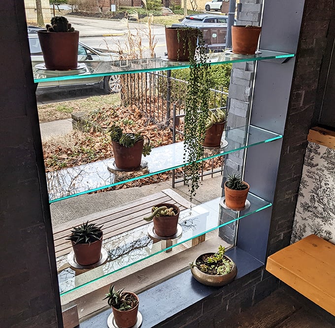 Even the plant display speaks to Harvest's attention to detail—a living wall of greenery that brings the outside in.