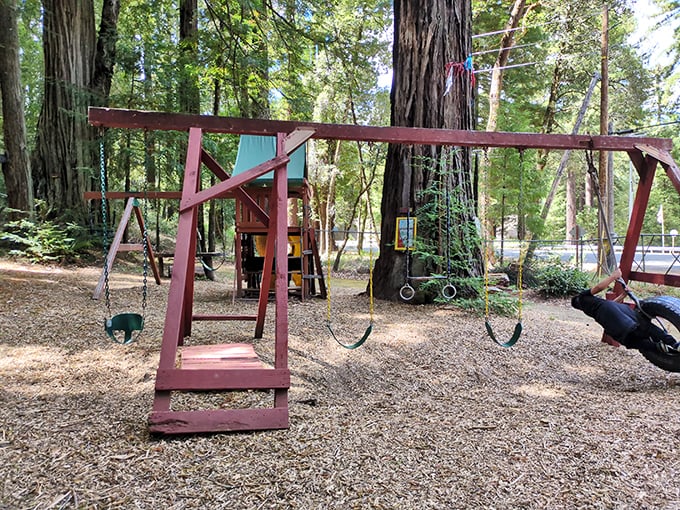 A simple playground nestled among giants – where kids burn energy while parents contemplate the magnificent scale of the surrounding redwoods.