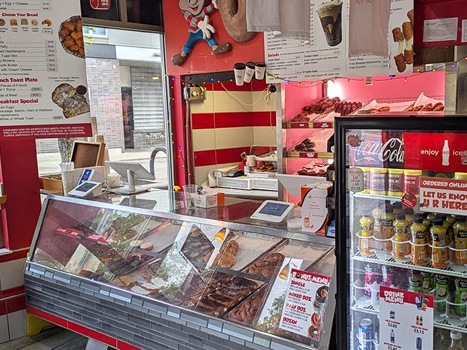 Behind the glass lies a museum of fried perfection—each shelf a different exhibit in the gallery of glazed goodness.