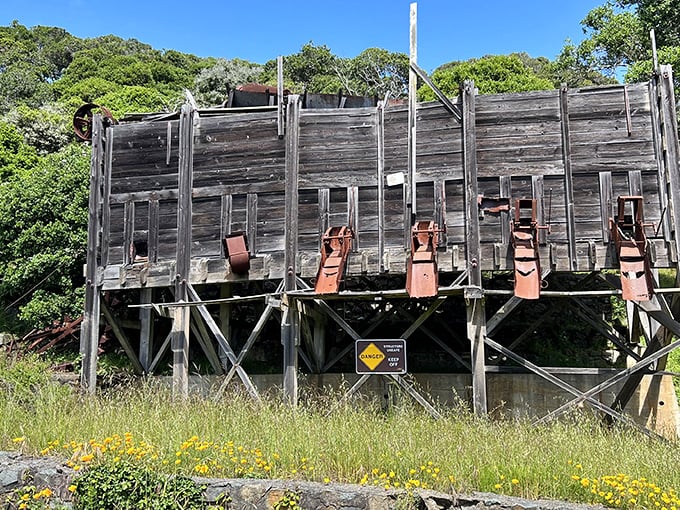 This weathered coastal battery once defended the bay – now it defends only memories, slowly surrendering to nature's persistent reclamation project.