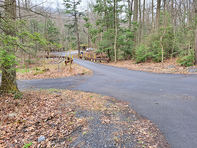 The road less traveled actually has proper pavement here. This winding park entrance promises adventures without requiring an SUV commercial's budget.