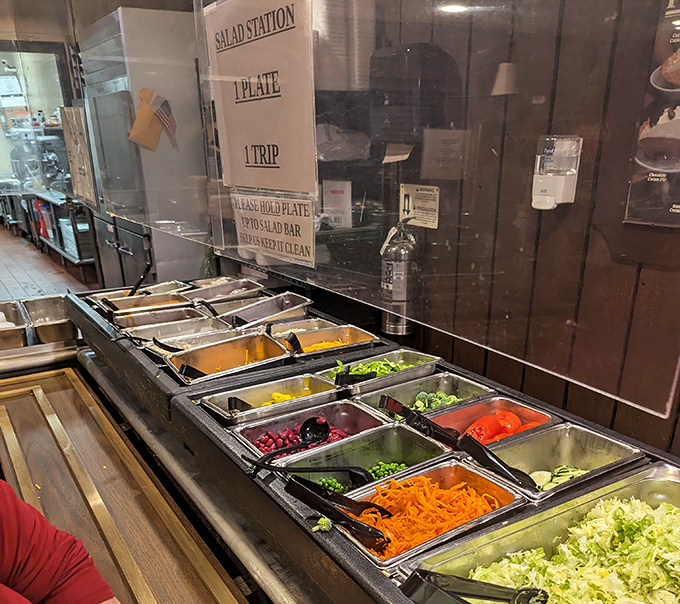 The salad bar—that endangered species of American dining—offers a rainbow of options for those pretending their steak needs a vegetable chaperone.