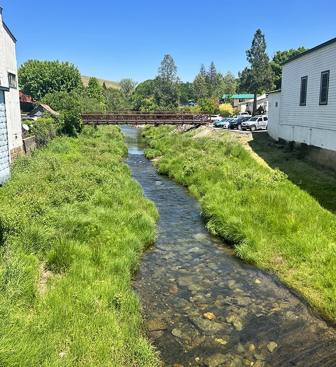 Sutter Creek itself meanders through town, a gentle reminder of the waterway that first brought fortune-seekers to this Gold Country hamlet.