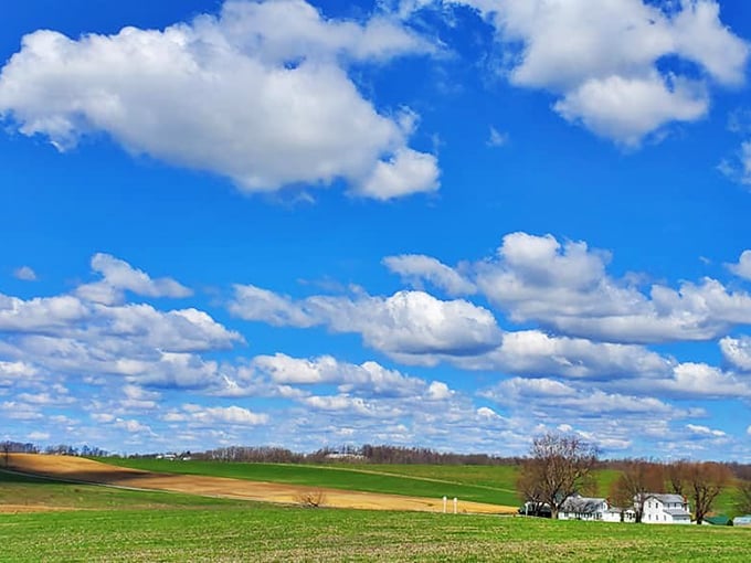 Ohio skies put on a show that no streaming service can match. Nature's own screensaver stretches above the patchwork quilt of Amish farmland.