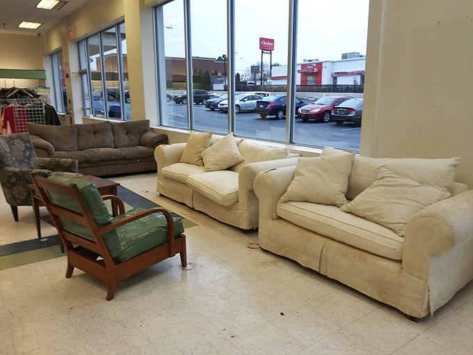 Furniture vignettes that whisper "imagine me in your living room"—where that cream sofa costs less than dinner for four.