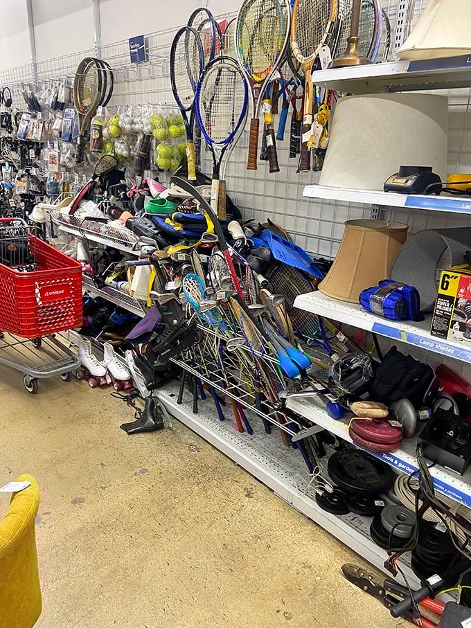 Sports equipment piled like a garage sale at an Olympic village—tennis rackets and baseball bats hoping for one more chance at glory.