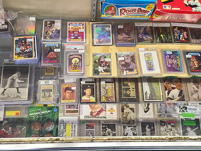 Baseball cards and memorabilia frozen in protective cases—where childhood heroes and forgotten stars share equal billing in the pantheon of collectibles.