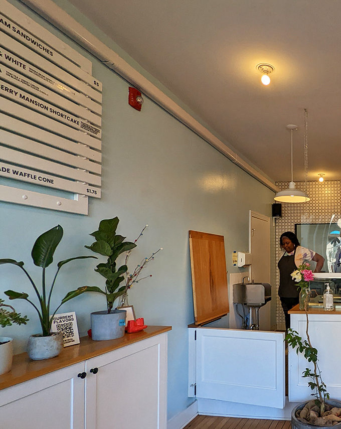 The menu wall doubles as modern art. Those plants aren't just decoration—they're silent witnesses to countless "mmm" moments and ice cream epiphanies. 