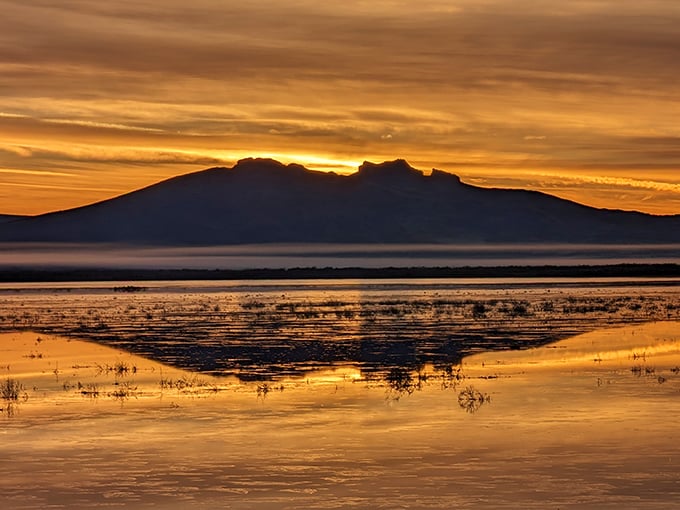 Mother Nature showing off at sunset – the kind of view that makes smartphone cameras feel wholly inadequate and Instagram filters unnecessary.