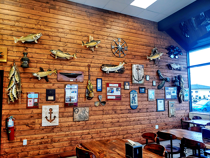 Not just decoration, but a museum of local maritime history – where mounted fish tell tales of "the one that didn't get away."