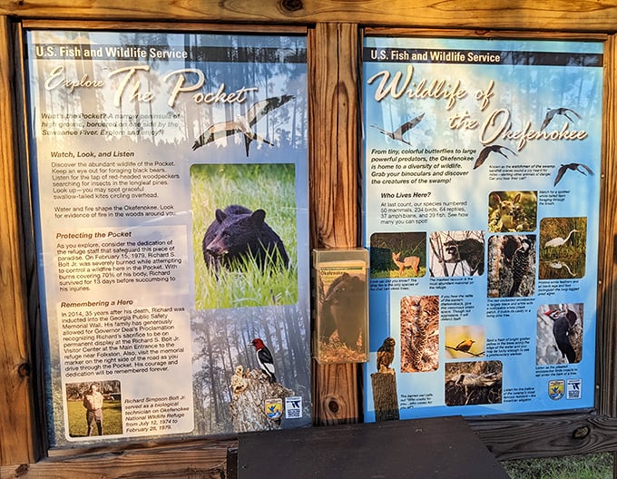 Wildlife information that doesn't require Google—old-school education panels that work even when your phone doesn't.