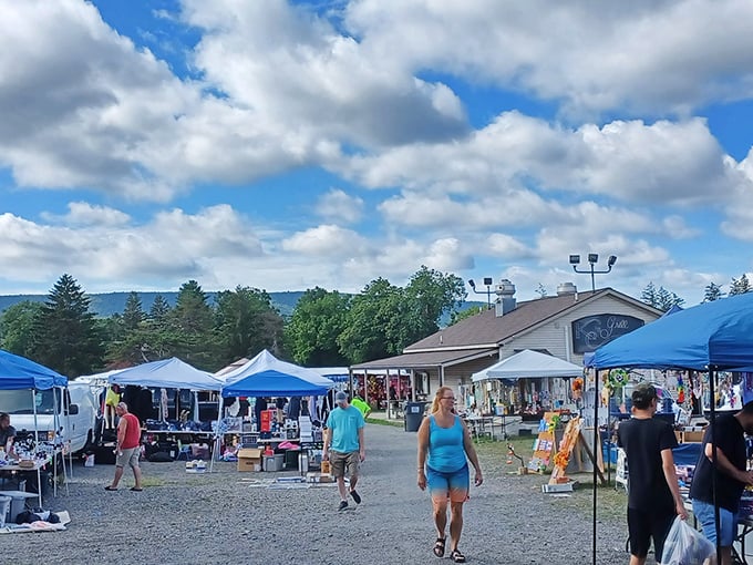 Blue Ridge Flea Market's gravel paths lead past tables where everyday items await their chance to become someone's perfect find.