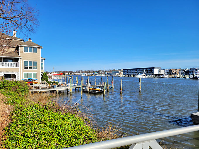 Waterfront living where your biggest decision is which dock to choose for afternoon contemplation.