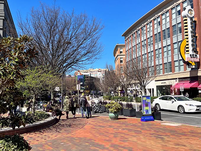 The pedestrian-friendly streets of Bethesda invite exploration, where world-class amenities meet pockets of surprising affordability.