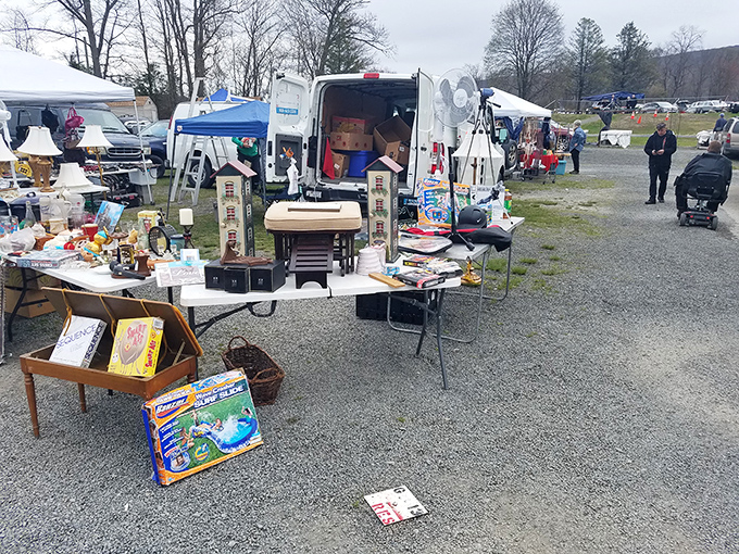 Rural charm meets bargain hunting in this scenic setting where every table holds potential discoveries.