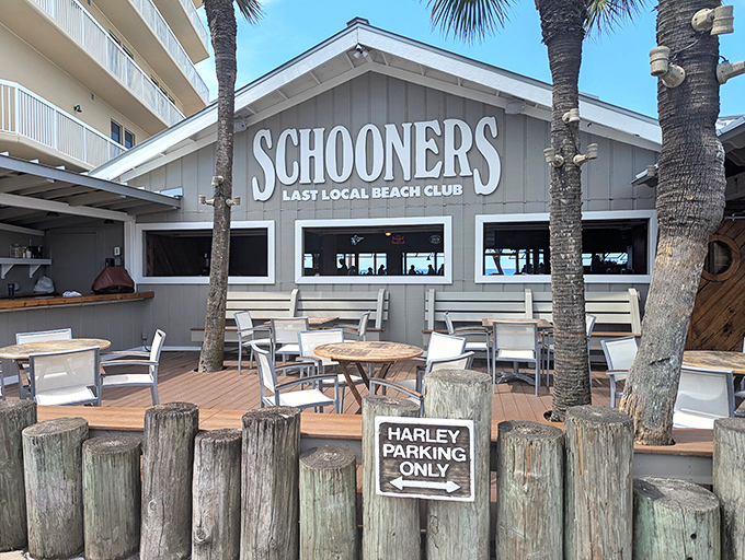 That authentic beach bar look promises the kind of sunset dining experience that creates lifelong memories.