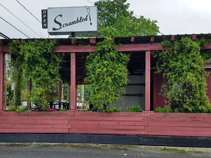 Sometimes the best meals come from places that look like they're keeping delicious secrets just for you.