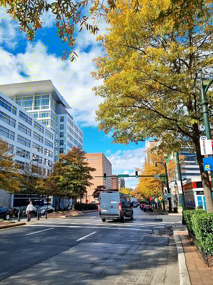 This diverse community shows how modern development can enhance rather than erase a neighborhood's character.