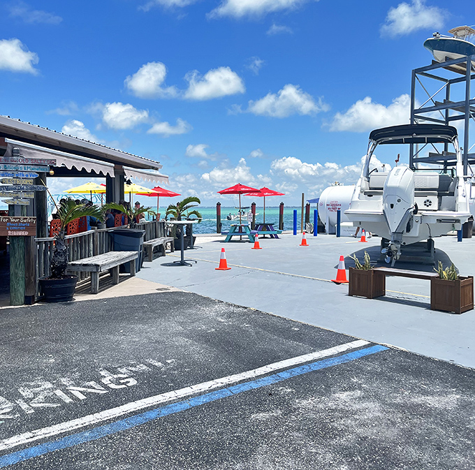 Where the parking lot meets the ocean and your taste buds go on vacation. The Old Salty Dog delivers views and chews.