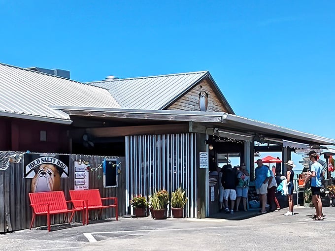 Waterfront dining with a view that rivals the food. The Old Salty Dog proves that scenery and seafood make perfect partners.