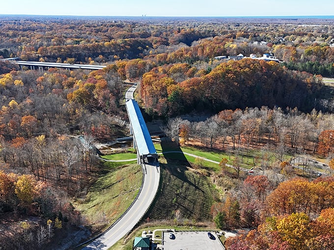 From above, the bridge appears as a brushstroke across the autumn landscape. A masterpiece that connects more than just riverbanks.