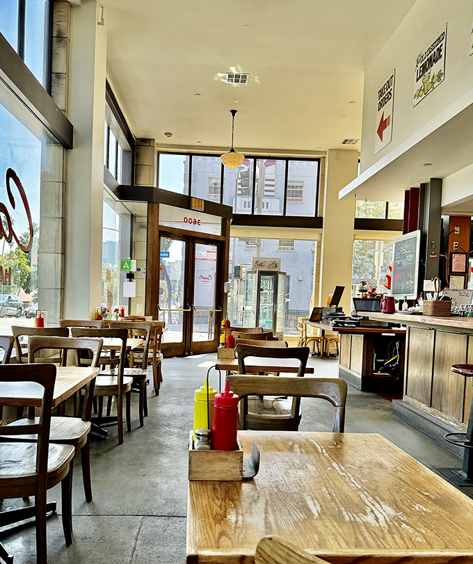 Sunlight streams through tall windows, illuminating a space where good food happens without pretense or unnecessary flourishes.