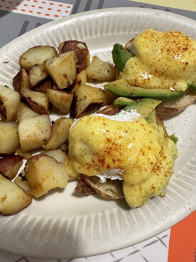 Benedict with avocado—where traditional breakfast formality meets California casual. The hollandaise sauce creates tiny lakes of happiness.