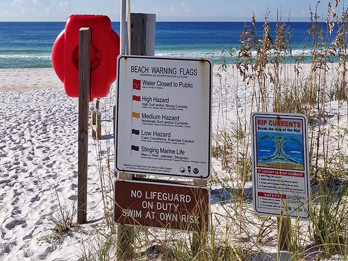 Beach warning flags and safety information—because even paradise needs a few ground rules to keep everyone's day heavenly.