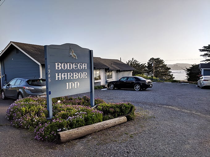 The Bodega Harbor Inn—where "room with a view" isn't marketing speak, it's a spectacular understatement.