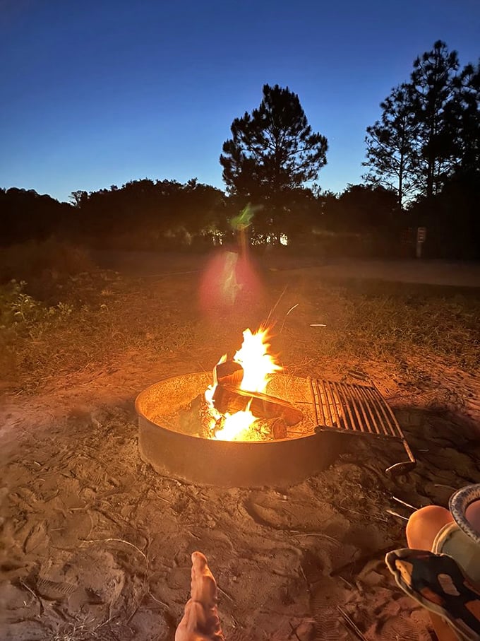 A campfire under Florida stars transforms ordinary evenings into primal magic—s'mores optional but highly recommended for the full experience.