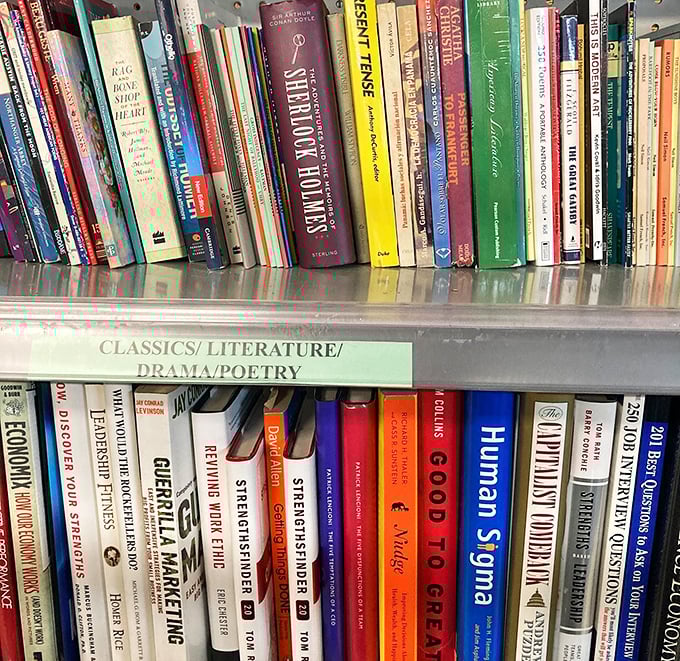 Literature organized by genre—from Sherlock Holmes to human sigma. Books: the original binge-worthy content, now at prices that make Amazon weep.