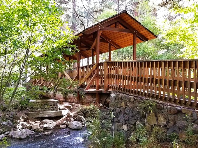 This isn't just a bridge—it's a front-row seat to the kind of creek that makes you want to write poetry, even if you've never written a line.