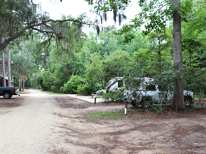 Camping spots nestled among Spanish moss-draped trees. Your RV neighbors are respectfully distanced—unlike in your actual neighborhood.