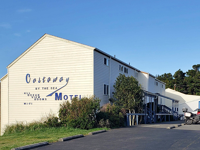 "All Ocean View Rooms" isn't just marketing speak at the Castaway Motel—it's the honest truth of coastal living.