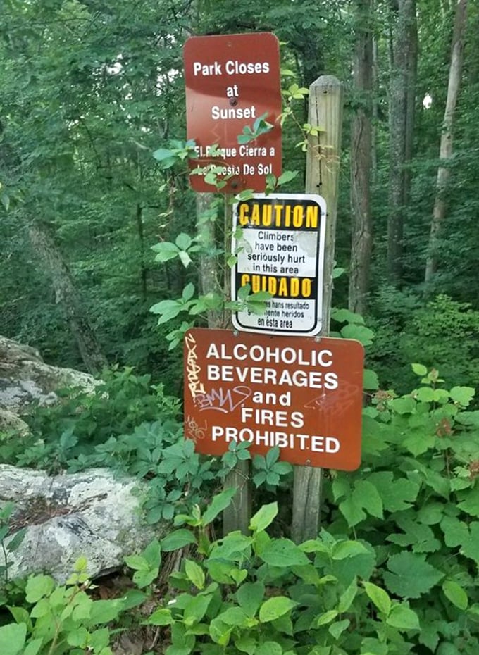 Park rules exist for good reason—gravity doesn't negotiate. The sign might as well read: "Don't turn your vacation into a hospital visit."