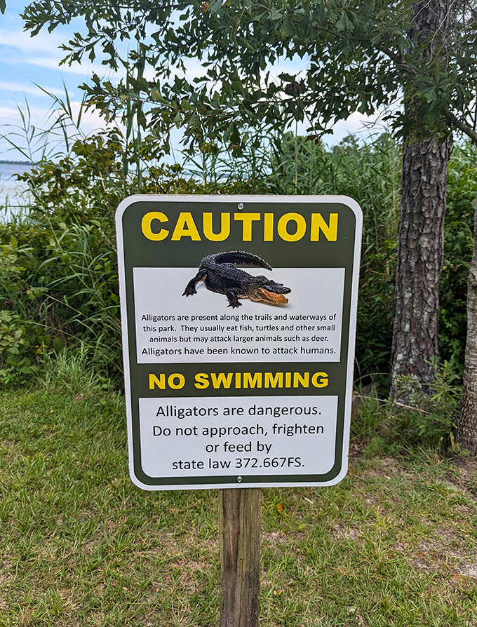 The only notification you need to worry about in the park – a friendly reminder that some residents have teeth and aren't interested in selfies.