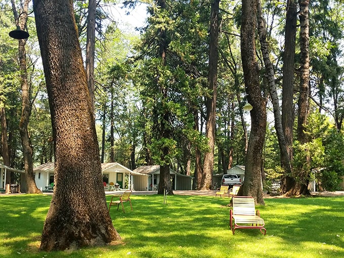 Cave Springs Resort offers tranquility under towering pines. The lawn chairs aren't just sitting there—they're practically begging you to bring a book.