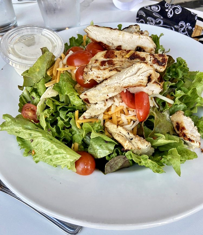 A salad that doesn't feel like punishment—fresh greens, grilled chicken, and cherry tomatoes that pop with color and flavor.